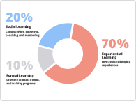 70-20-10 Model for Learning and Development