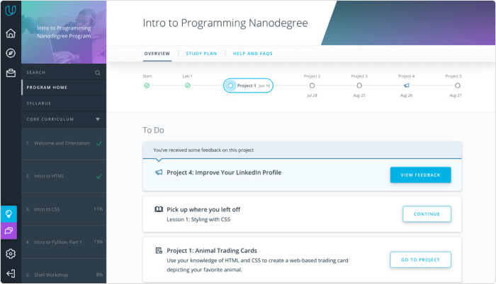 🥇 23 Best Online Learning Platforms in 2024